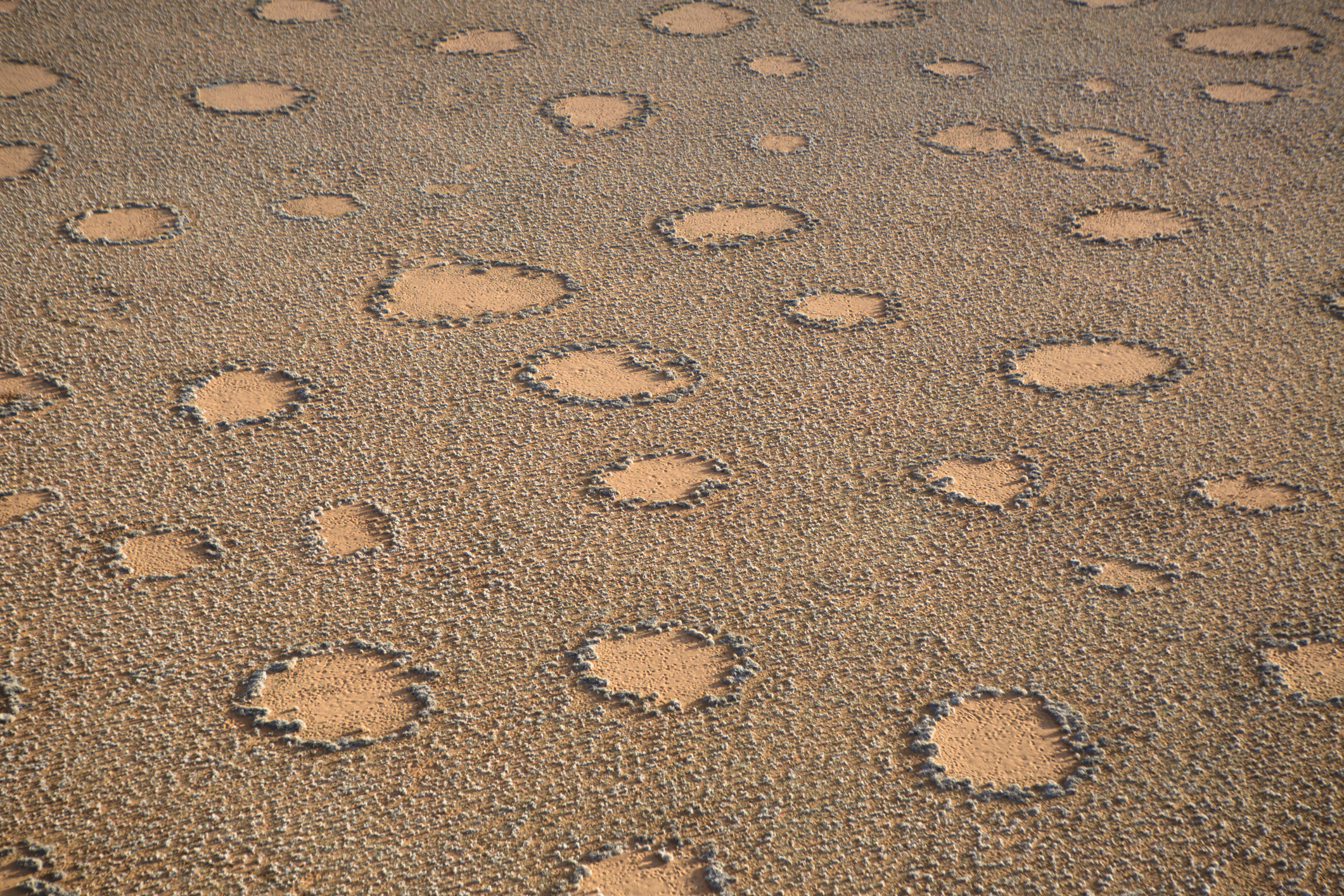 Is the mystery of Namibia's “Fairy Circles” now solved? - Great Big Story