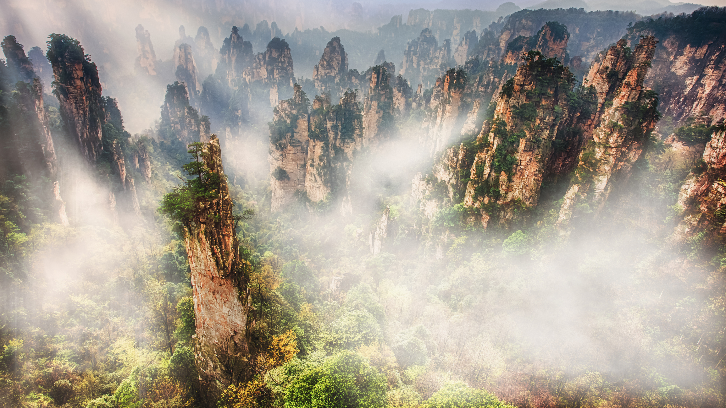 Inside Zhangjiajie National Forest, the Chinese land that inspired ...