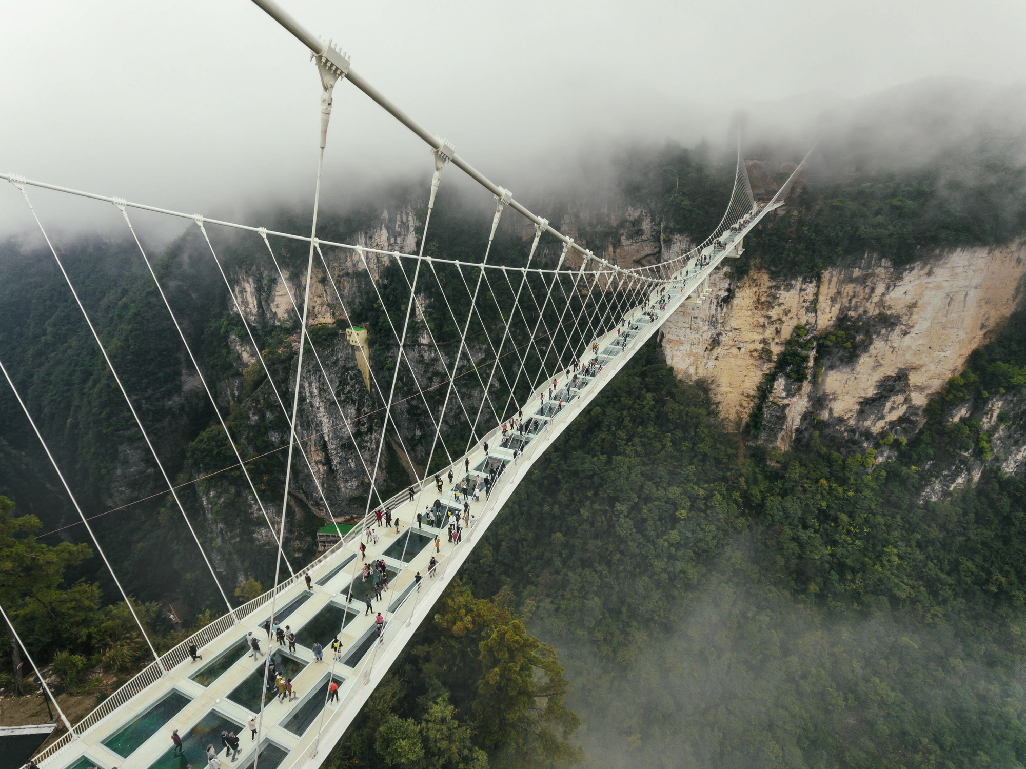 Inside Zhangjiajie National Forest, the Chinese land that inspired ...