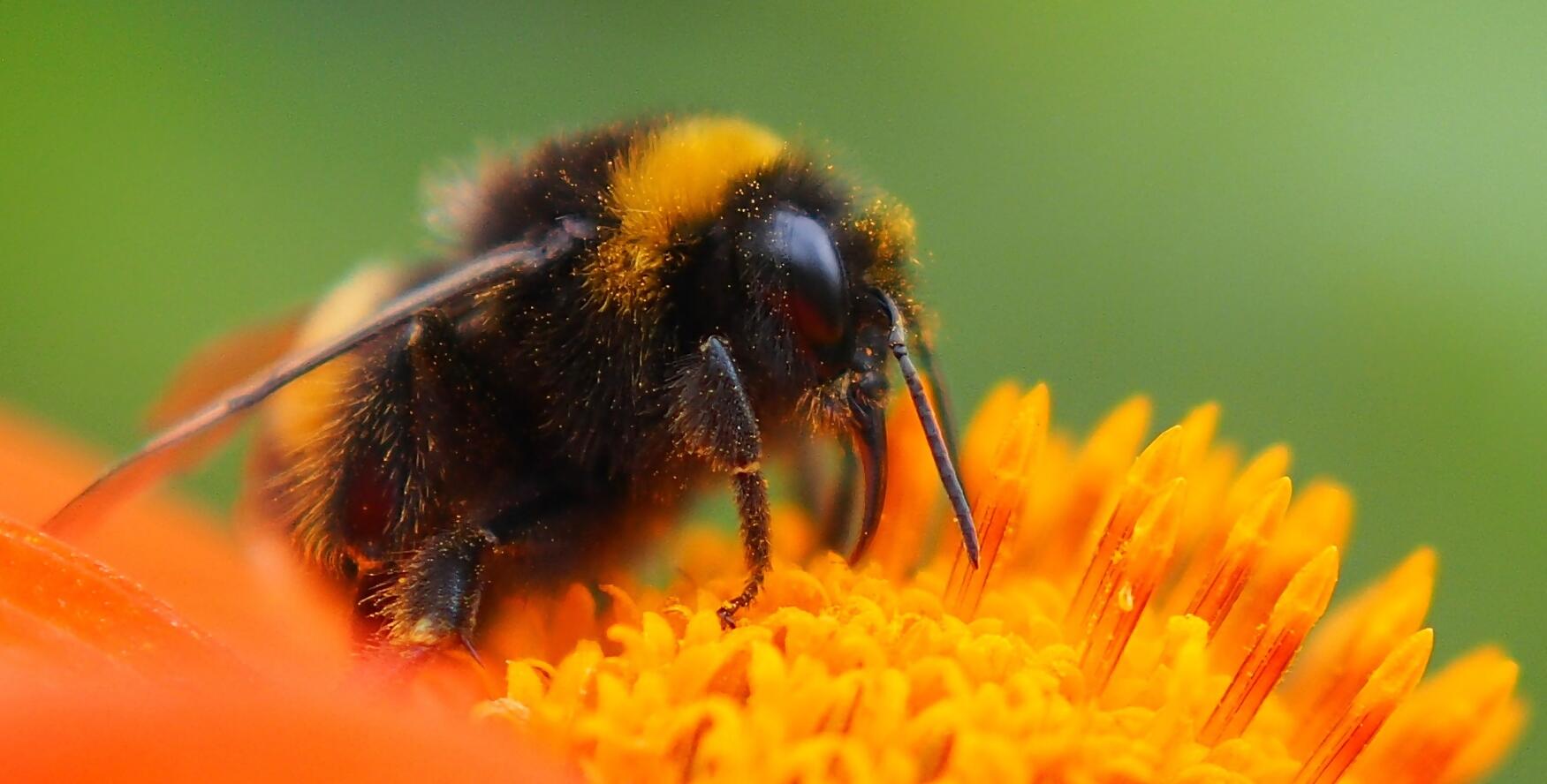 Susie Dent’s Top 10s: Ten words to make you sigh - Great Big Story