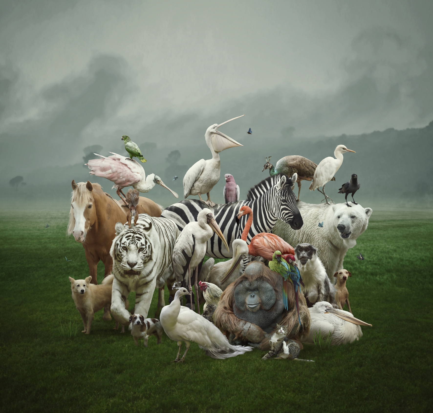 What is the world's most populous animal? - Great Big Story