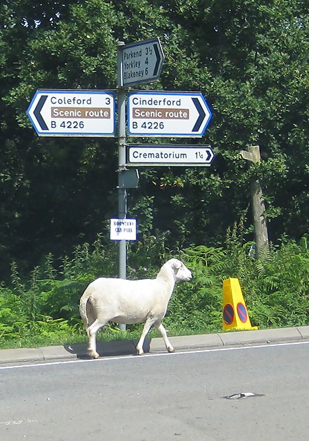 Susie Dent’s Top 10s: Ten malaphors