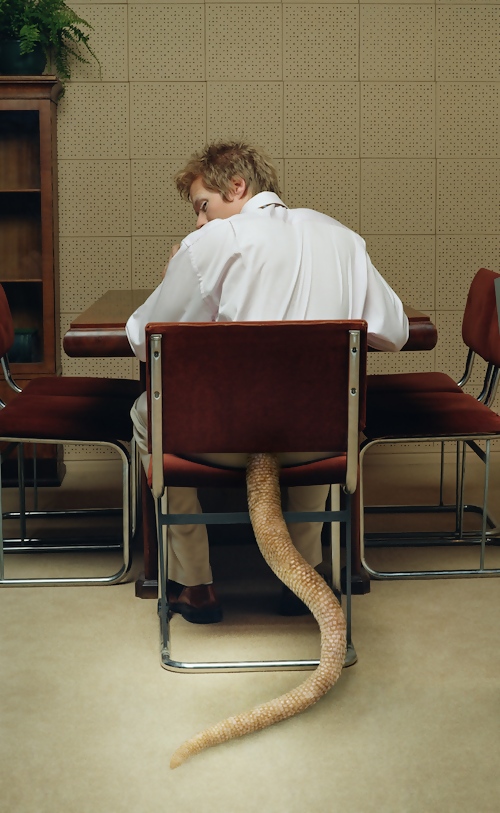 Why don’t humans have tails? - Great Big Story