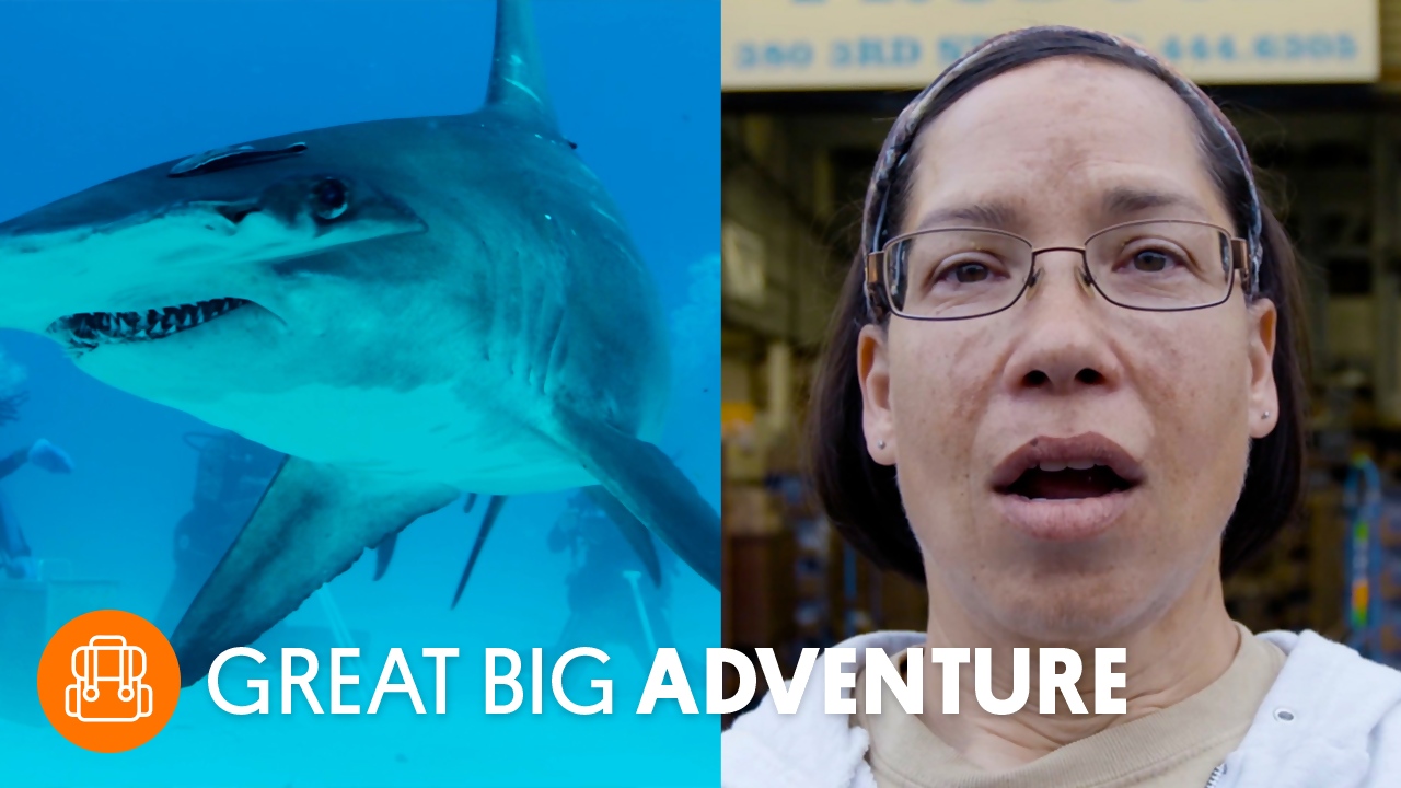 Animals Archives - Great Big Story